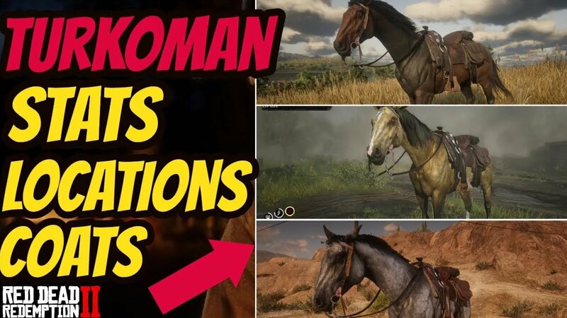 Red Dead Redemption 2 TurkoMan Horse Location & ALL Coats & Stats GOOD ...