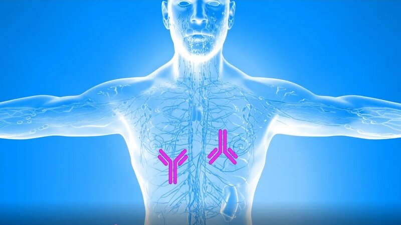 Empliciti (Elotuzumab) A New Immunotherapy Cancer Treatment for ...