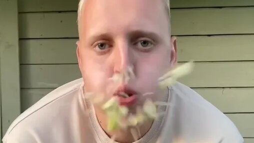 Павел Кольцов | Яблоко будешь? | Дзен - Смотреть онлайн в поиске ...