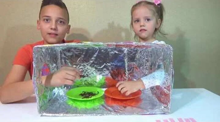 Видео ЧТО В Коробке Челлендж Пранки для детей Скорпионы и большой ПАУК ...
