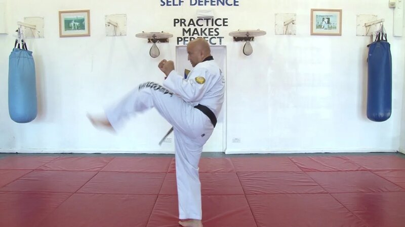 Taekwondo Form Taegeuk Il Jang Form 1 in Action by Grandmaster Vohra ...