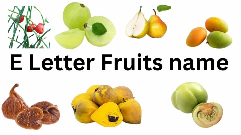 Fruits Name that start with Letter E |list of fruits start with E ...