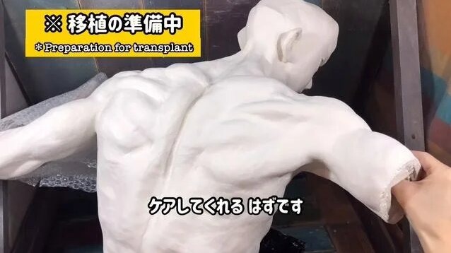 轟焦凍【等身大】 100均石粉粘土でフィギュア作ってみた 【ヒロアカ】[Life-sized] Shoto Todoroki [MHA] 1 ...