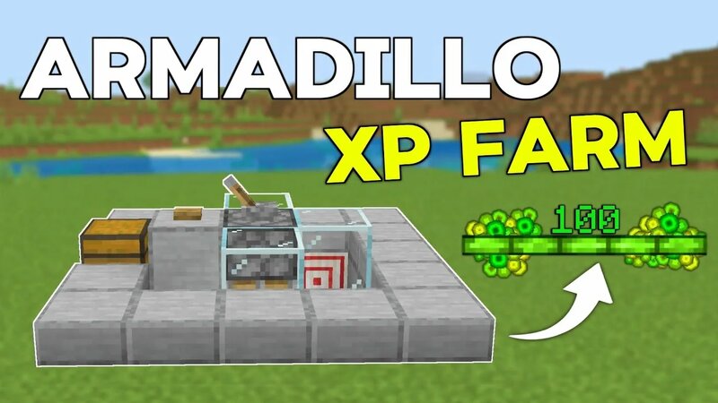 NEW Armadillo XP Farm In Minecraft 1.21 Bedrock! - Yandex Video aramada ...