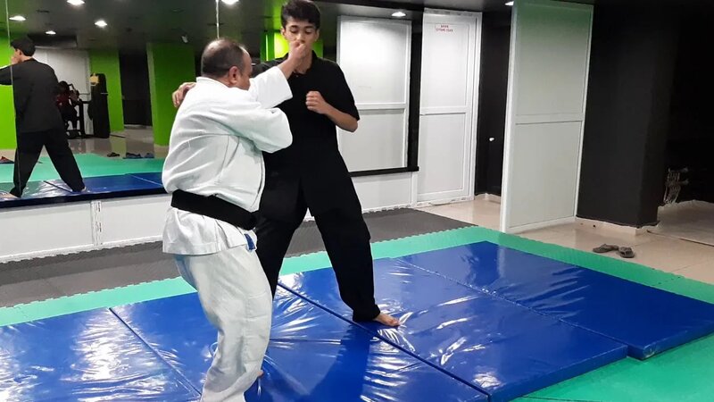 Aikijutsu/Aikido dövüş sanatı - Yandex Video aramada çevrimiçi izle