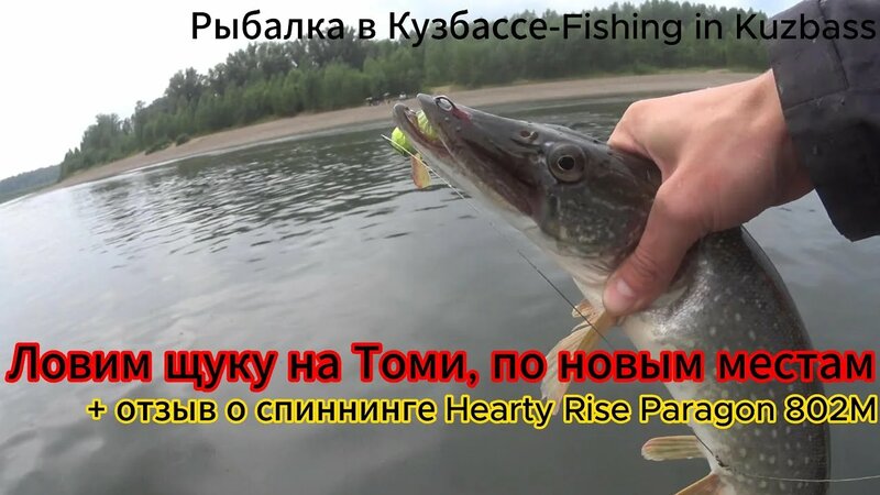 Ловим Щуку на Томи, на новых местах. Отзыв о спиннинге Hearty Rise ...