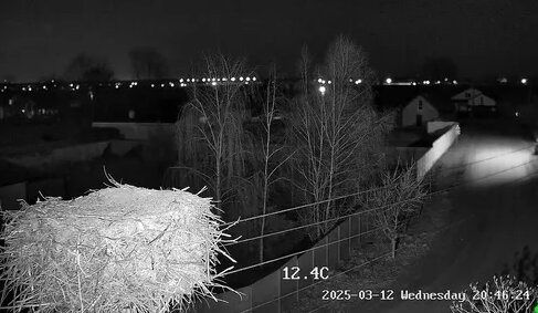 StreamVi.ru live stream - Yandex Video aramada çevrimiçi izle