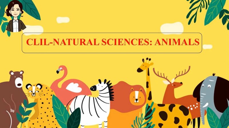 Friends plus - Tiếng anh 6 - Unit 3 - Lesson 8 - CLIL: Natural science ...