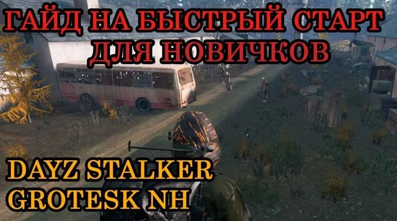Гайд обзор для новичков - Dayz Stalker Grotesk NH — Видео от Brakhma ...