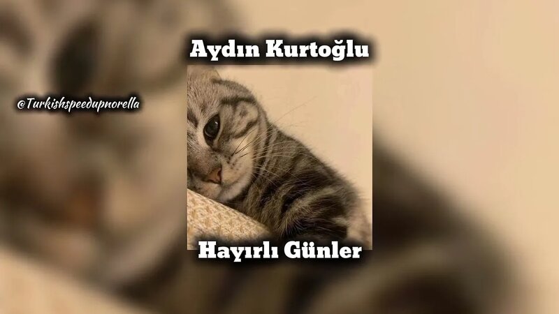 Aydın Kurtoğlu-Hayırlı Günler(Speed Up) - Yandex Video aramada ...