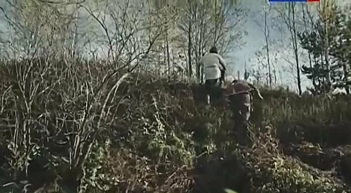 Дружина 2015 Все серии Фильм целиком - Смотреть онлайн в поиске Яндекса ...