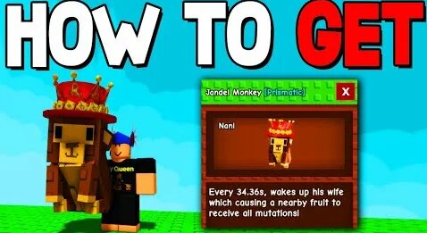 How to get jandel monkey pet & showcase in grow a garden! roblox ...