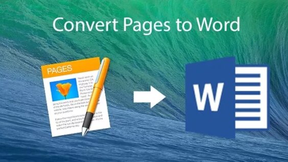 convert from pages to word: 1 bin video Yandex'te bulundu