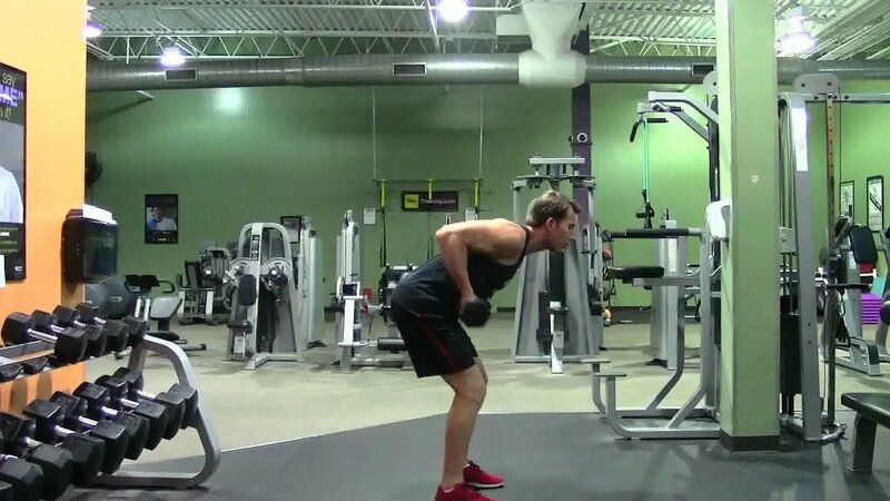 Reverse Grip Dumbbell Bent Over Row - HASfit Back Exercise ...