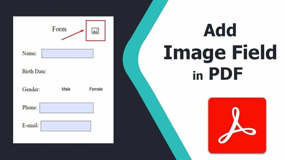 How To Add An Image Field In A Fillable Pdf Form Using Adobe Acrobat Pro Dc Daft HD