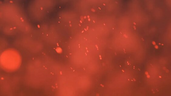 red background: 861 video Yandex'te bulundu