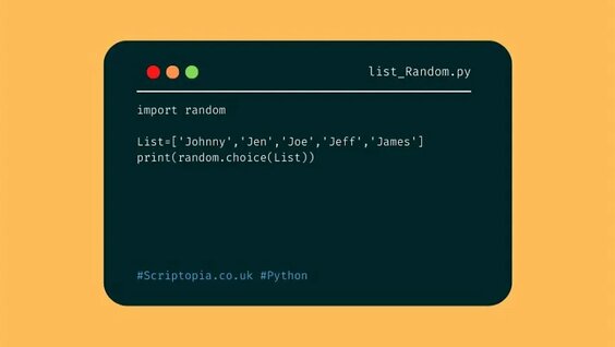 python-random-choice-from-list-959