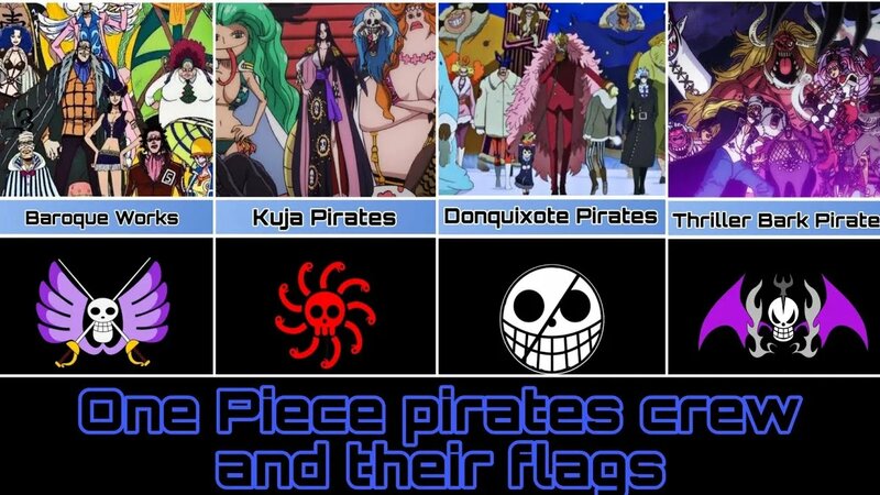 Some of the One Piece pirate crew and their flags - Yandex Video ...