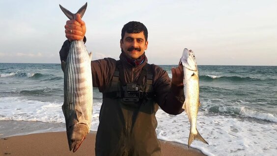 torik balığı: 936 video Yandex'te bulundu