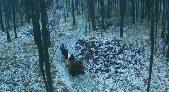 А зима будет большааая. - Смотреть онлайн в поиске Яндекса по Видео