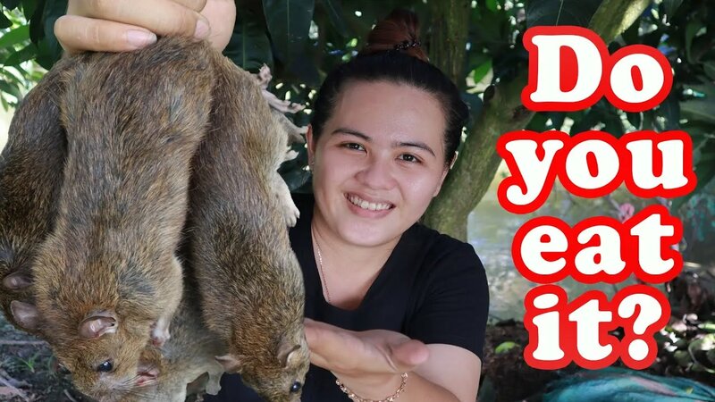 Amazing cooking mouse with stir-fried mouse recipe by VAC DaiLy chef ...