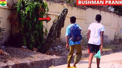 Prank Ghana | Падающее Дерево Бушменский розыгрыш! Очень смешные ...