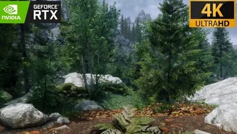 The Skyrim Remake: The Ultimate 2023 Graphics Mod Collection !! (4k60fps)