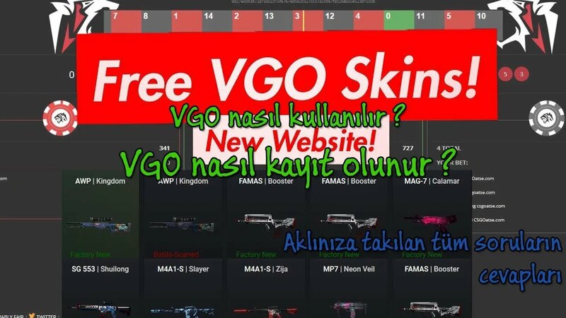 VGO kayıt olma, vgo sistemi nasıl kullanılır, express trade - Detaylı ...