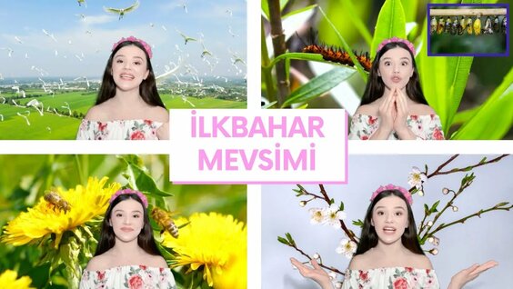 mevsim resimleri: 1 bin video Yandex'te bulundu