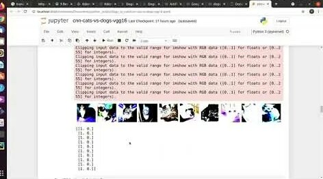Computer Vision Starting Project in Python: Dogs vs Cats classifier ...