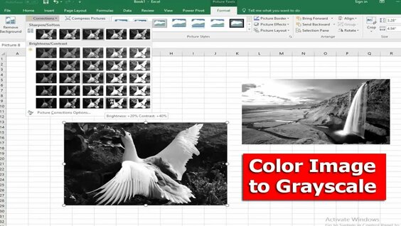 convert image to grayscale: 999 video Yandex'te bulundu