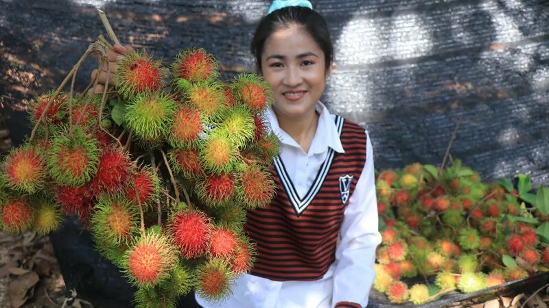 Rambutan Fruit In Sticky Rice Dessert / Rambutan Fruit Dessert ...