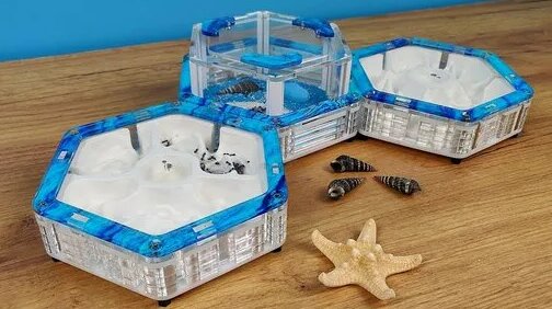 Новинка! Необычный Фармик для содержания муравьев! Double Nest от ...