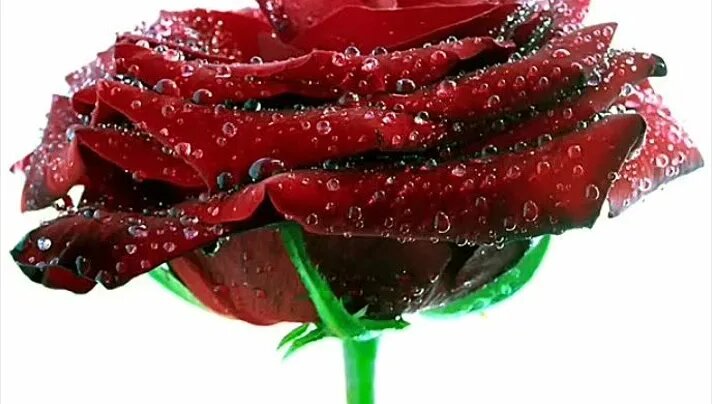 Видео В. Высоцкий. У нее все свое и белье, и жилье. | OK.RU - Смотреть ...