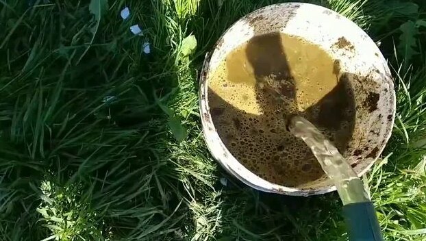 Подкормка Коровяком? - Смотреть онлайн в поиске Яндекса по Видео