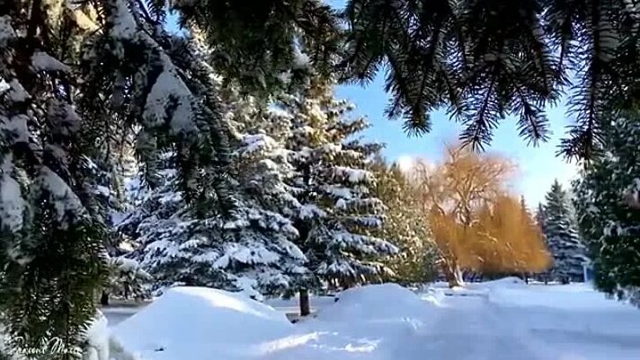 Видео Снегопад! До слез красивая мелодия! Музыка удивительной красоты ...