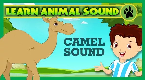 Animal Sounds for Children | Camel Sound, Goat Sound, Pig Sound | Kids ...