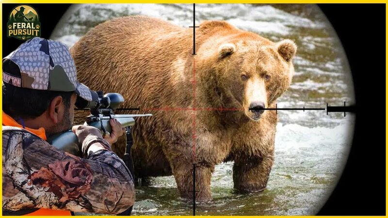 Black Bear Battles in Maine – Thrilling Hunts Against a Powerful ...