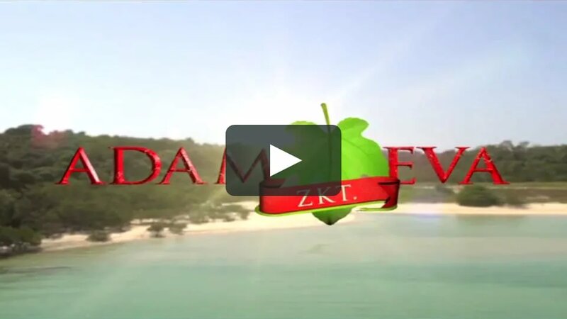 Adam zoekt Eva leader on Vimeo - Смотреть онлайн в поиске Яндекса по Видео