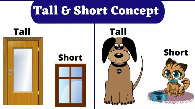 Tall & Short Objects for kids | Pre-mathematics Concept for nursery ...