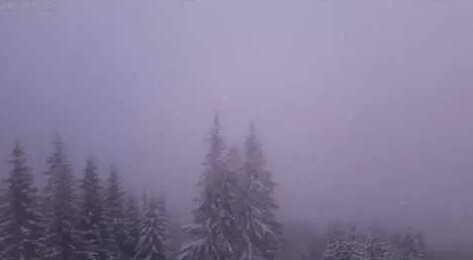 Light Snow Storm with Relaxing Sounds of Wind and Snow Falling Over the ...