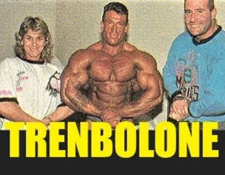 Trenbolone acetate results before and after tren transformation ...