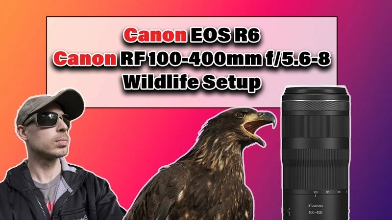 Canon EOS R6 | Canon RF 100-400mm f/5.6-8 | Wildlife Setup Photography ...