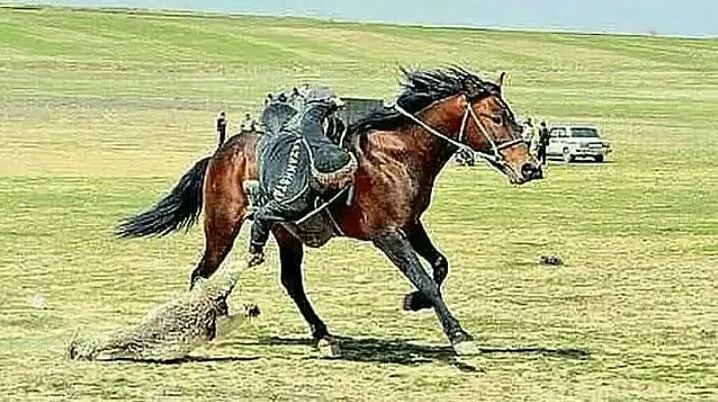 Видео otlar | OK.RU - Смотреть онлайн в поиске Яндекса по Видео