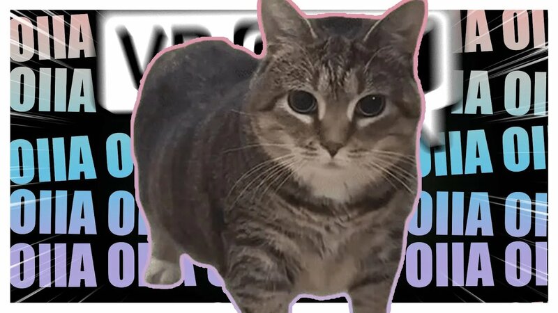 Oiiaoiia (Spinning CAT meme) takes over Vrchat lobbies - Смотреть ...