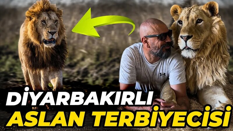 Aslan ve Kaplanlarla Boğuşan Adam! | Bu Adam Aslan ve Kaplanlara Kafa ...