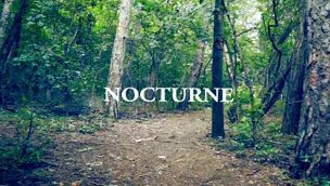 Secret garden - Nocturne feat. Anne Takle - Смотреть онлайн в поиске ...