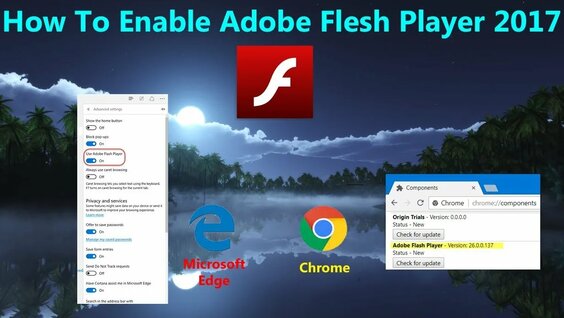 flash player 2022 microsoft edge: 817 video Yandex'te bulundu