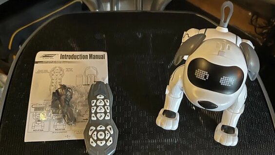 uzaktan kumandalı robot: 1 bin video Yandex'te bulundu