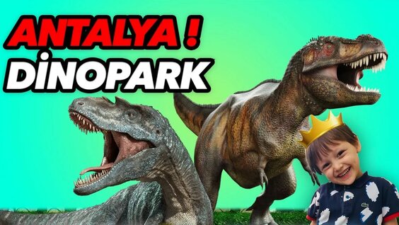 en büyük dinazor: 855 video Yandex'te bulundu